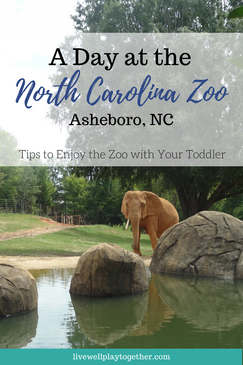 Day Trip NC: North Carolina Zoo + Tips for Traveling with Your Toddler ...
