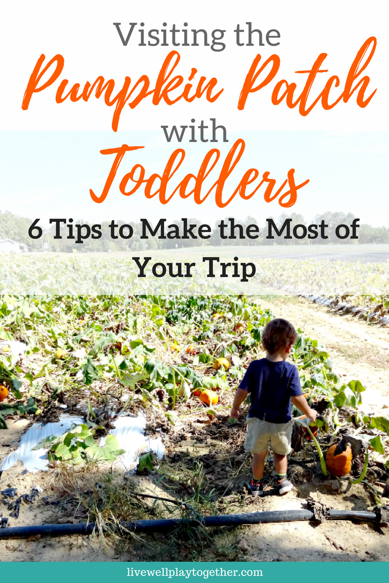 Tips for Taking Your Toddler to the Pumpkin Patch | Our Day at Page ...