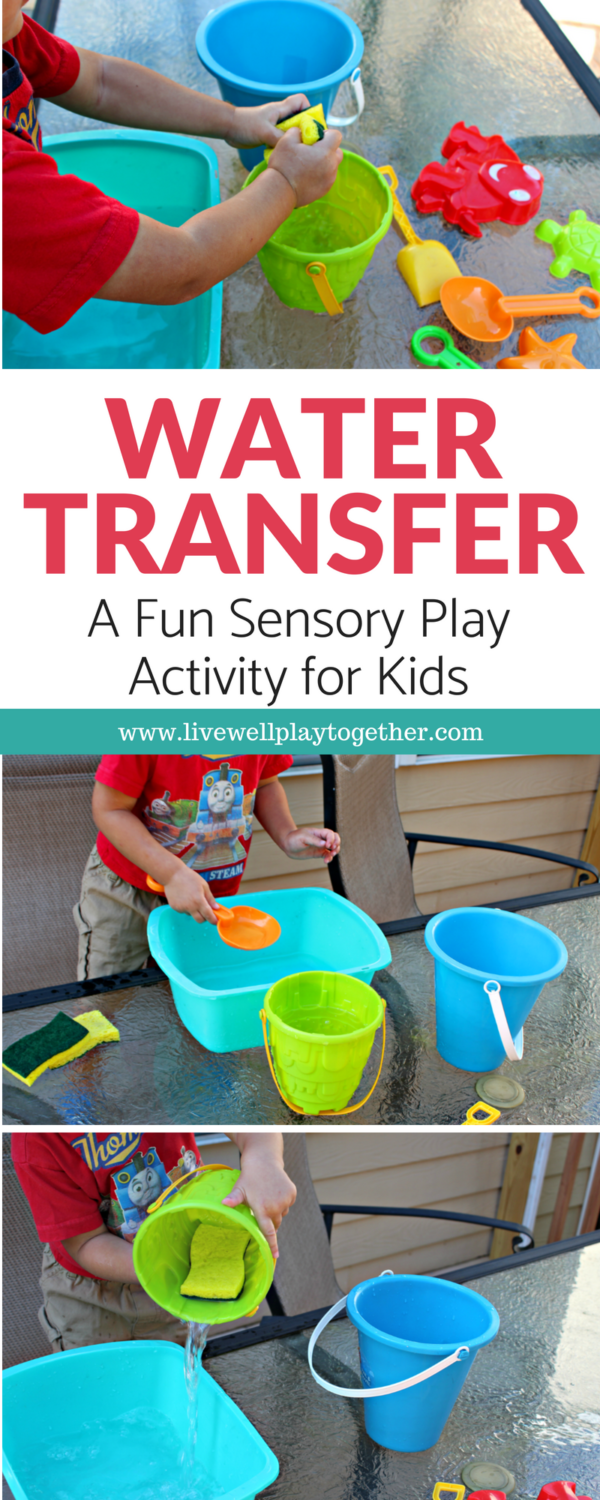 Water Transfer Activity with Sponges: Easy Toddler STEM Water Play ...