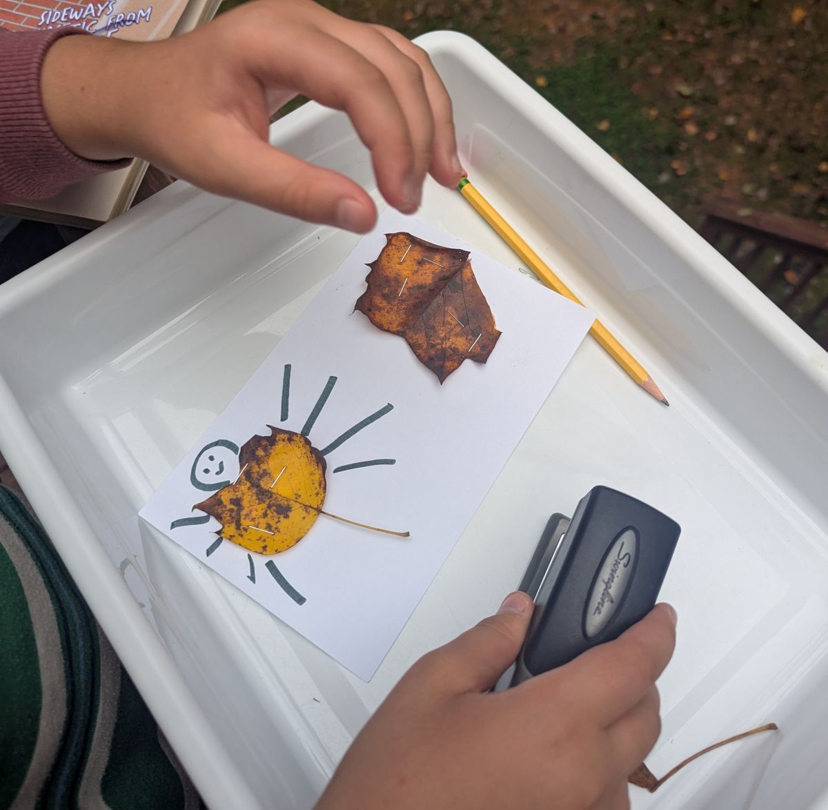 Autumn Leaf Bugs: A Great Fall Leaf Craft for Kids - Live Well Play ...